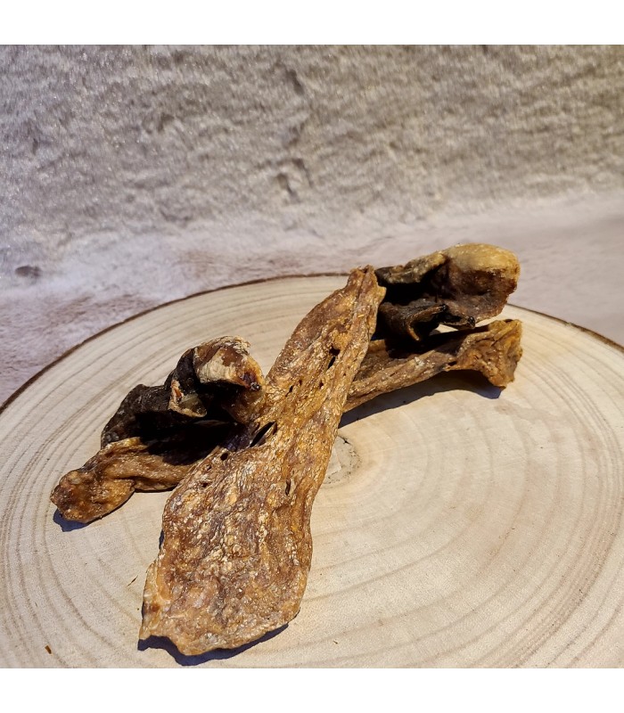 Pis de vache, mastication pour chien | Paws Détente Tourcoing